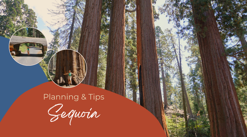Sequoia National Park, California: Giant Sequoias, Hikes & Travel Tips
